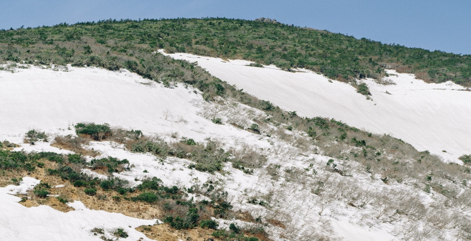 24FW COLLECTION – Robin Outdoor Base